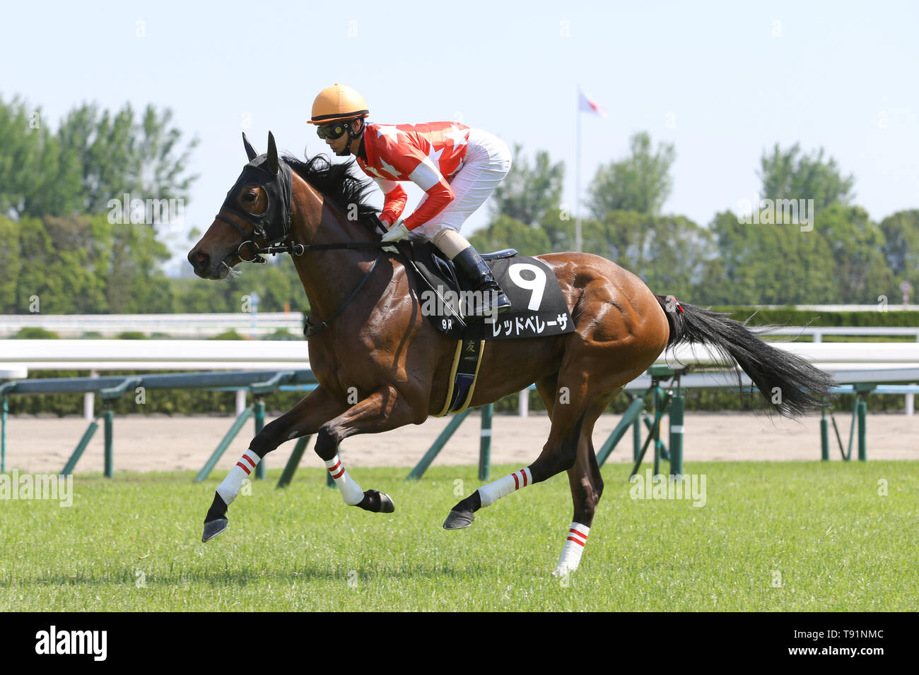 Kyoto, Japan. 11th May, 2019. Red Beleza (Yuichi Kitamura) Horse Racing ...