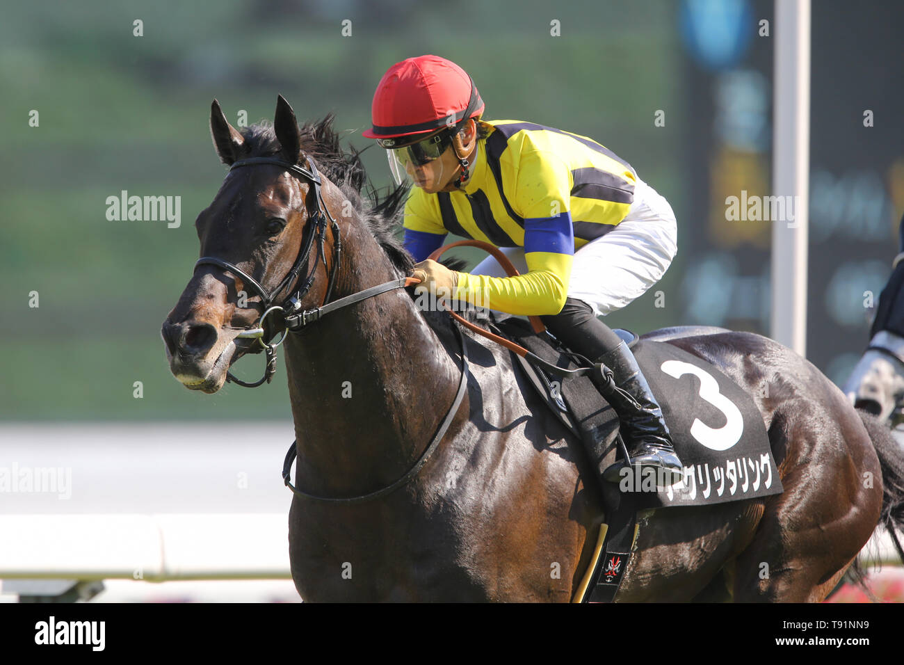 Kyoto, Japan. 11th May, 2019. So Glittering (Yuga Kawada) Horse Racing ...