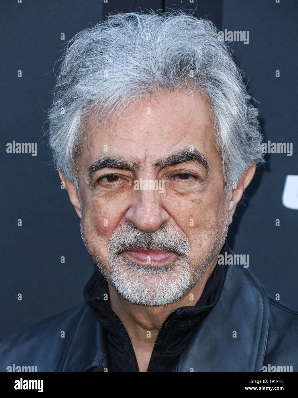 HOLLYWOOD, LOS ANGELES, CALIFORNIA, USA - MAY 15: Actor Joe Mantegna ...