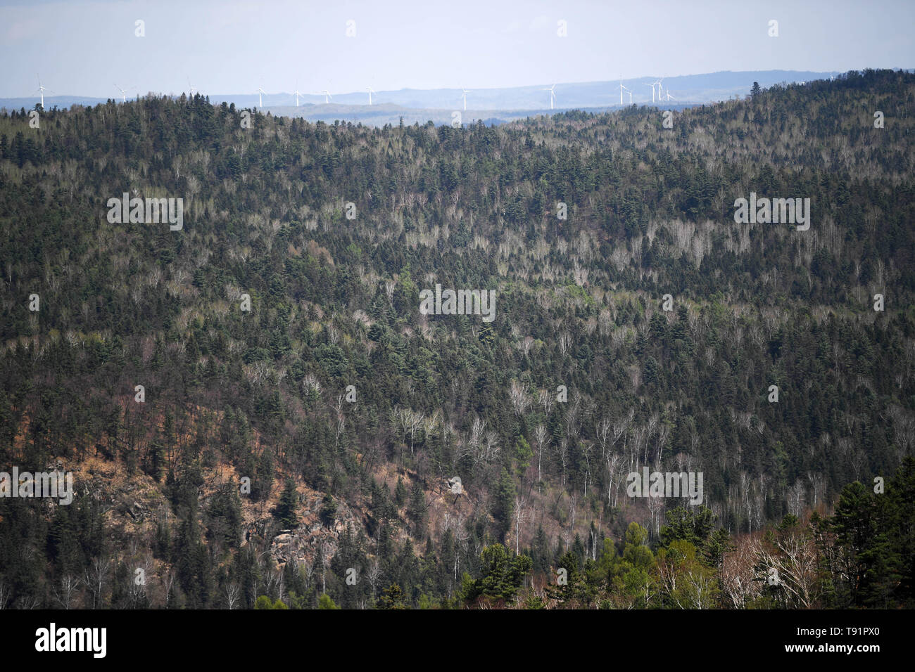 Lesser khingan scenery hi-res stock photography and images - Alamy