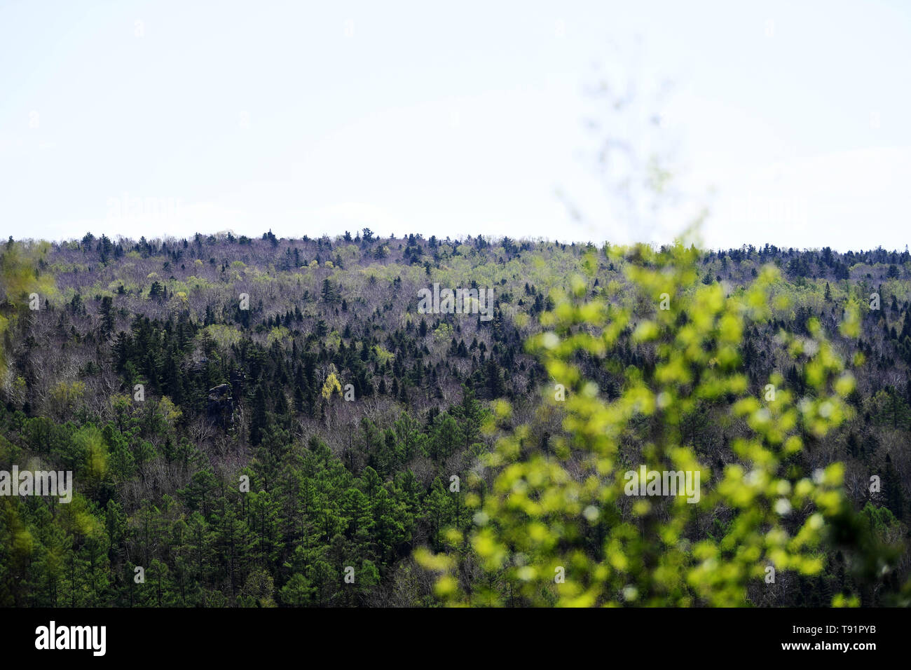 Lesser khingan scenery hi-res stock photography and images - Alamy