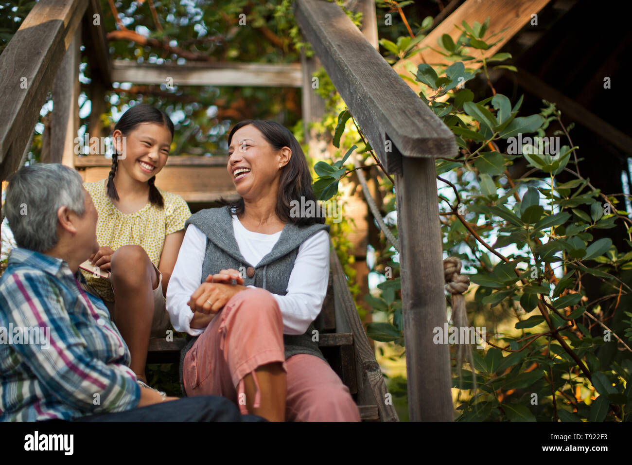 Multi generational families hi-res stock photography and images - Alamy