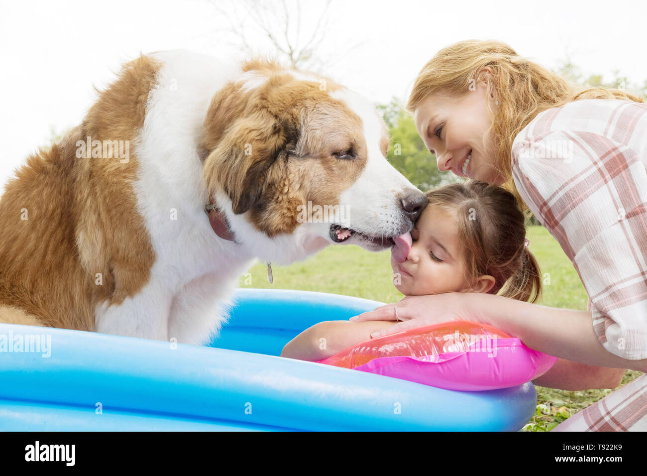 A DOG'S JOURNEY, from left: Bailey (voice: Josh Gad), Emma Volk, Marg ...