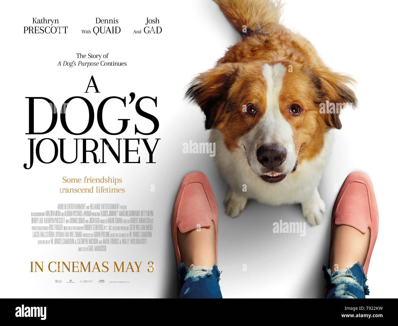 A DOG'S JOURNEY, British poster, Bailey (the dog), 2019. © Universal ...
