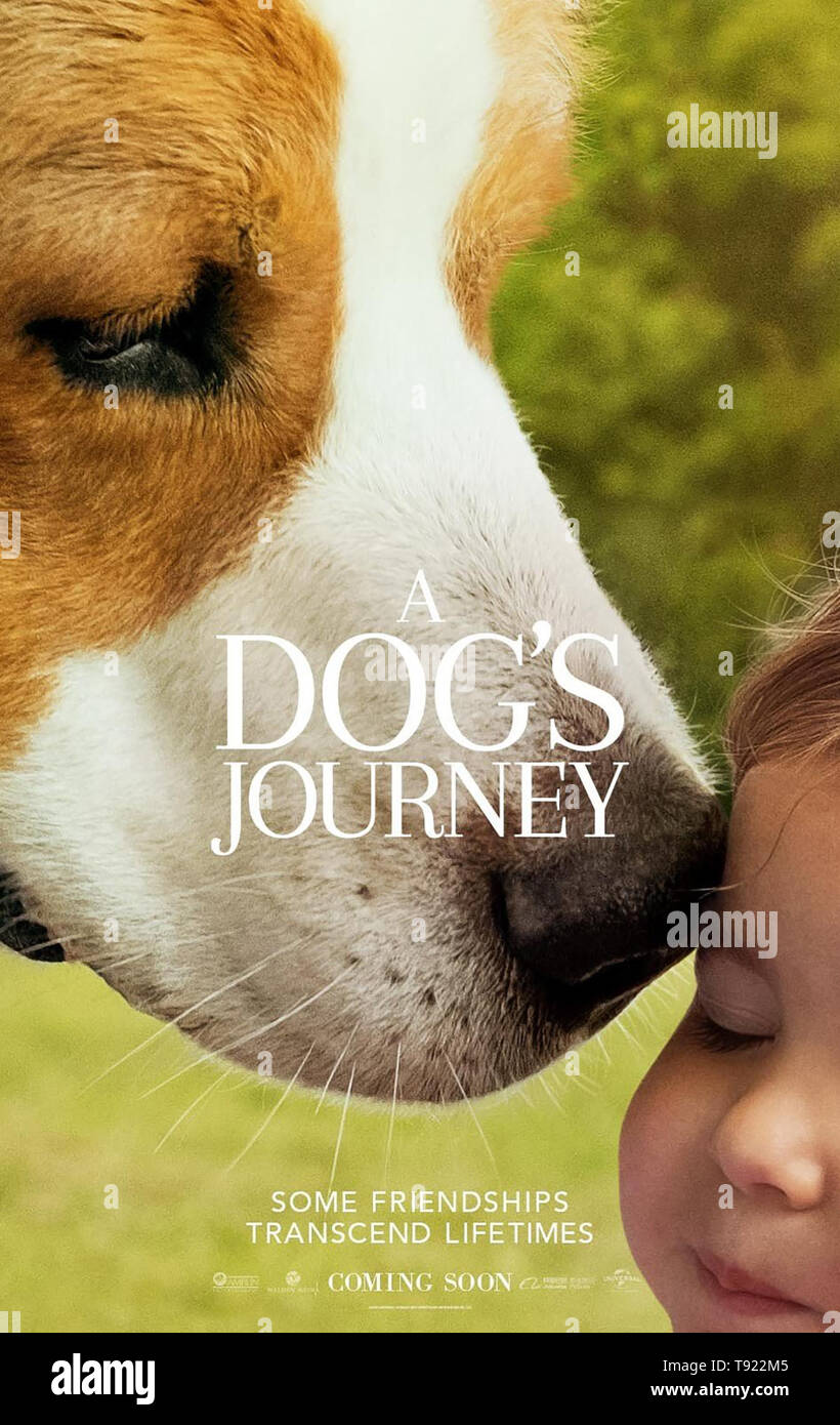 A DOG'S JOURNEY, US advance poster, from left: Bailey (the dog), Emma ...