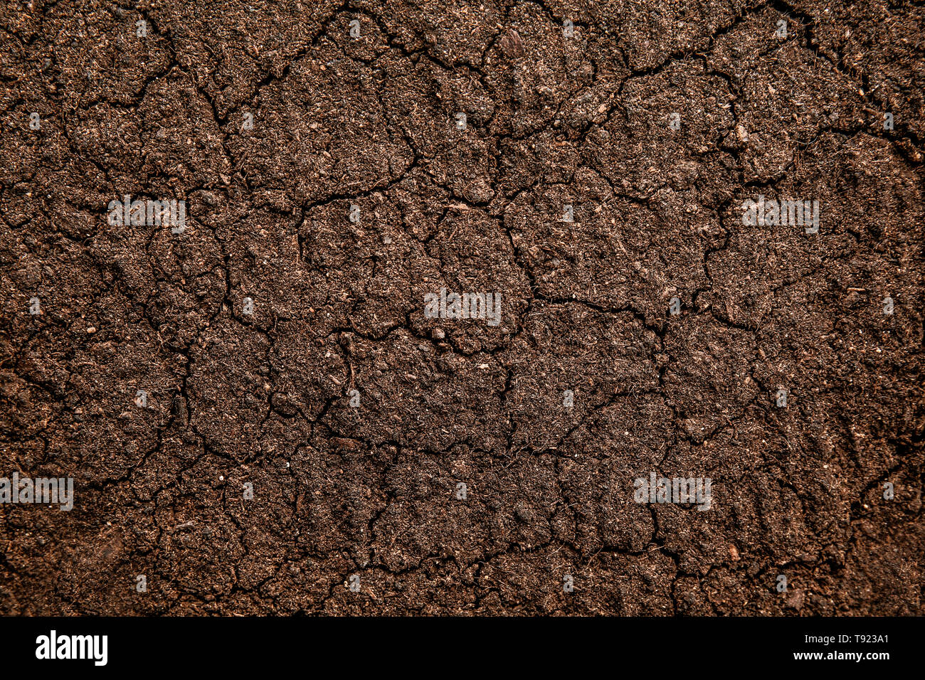 Soil texture, closeup Stock Photo - Alamy
