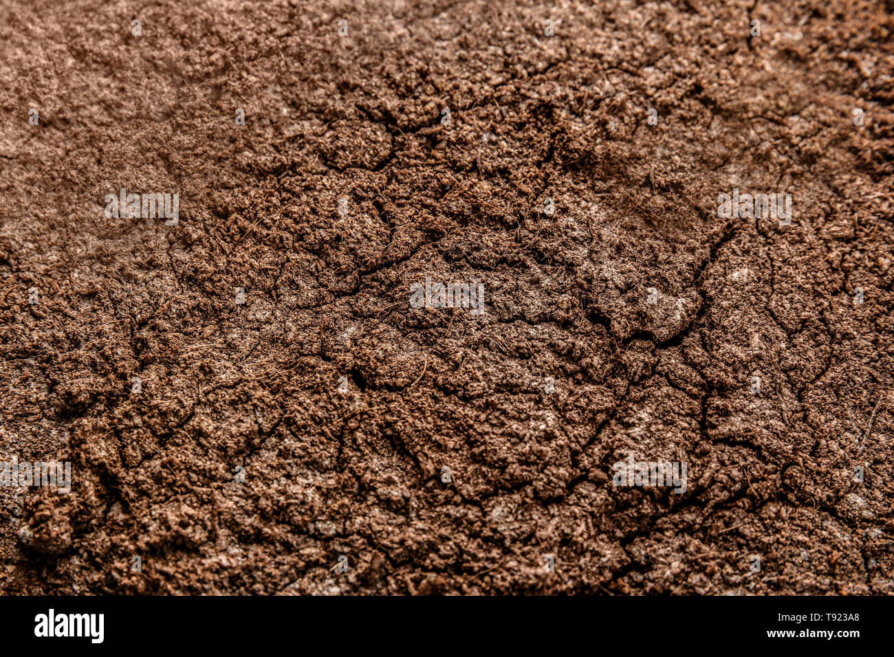 Soil texture, closeup Stock Photo - Alamy