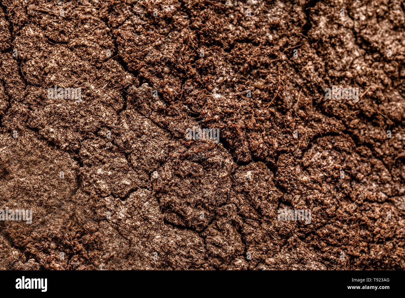 Soil texture, closeup Stock Photo - Alamy