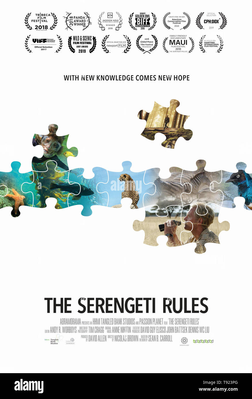 SERENGETI RULES, (aka THE SERENGETI RULES), US poster, 2018 ...