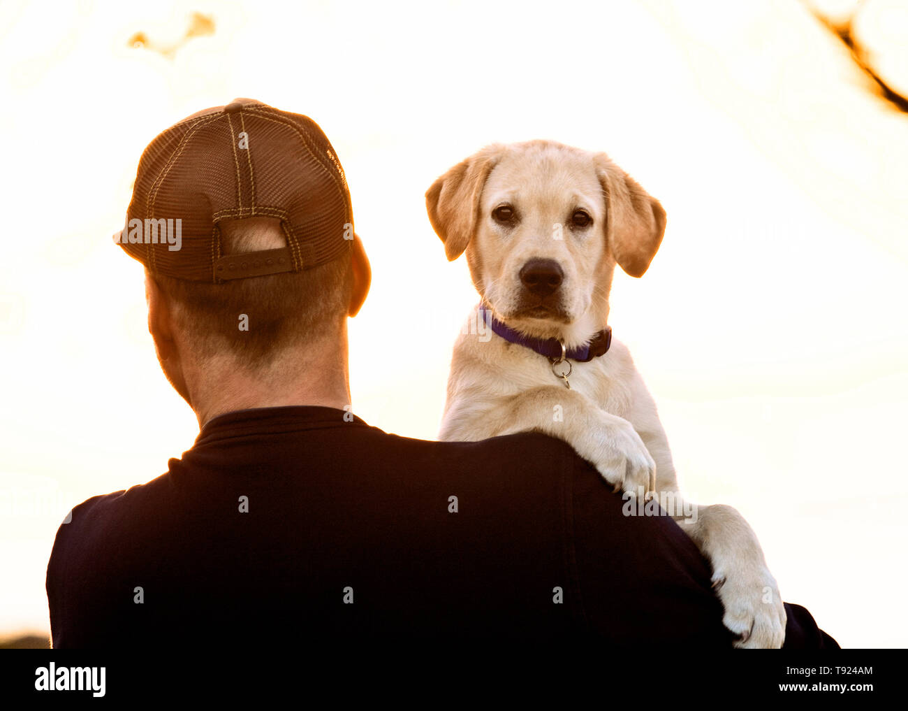 Man carrying his dog Stock Photo - Alamy