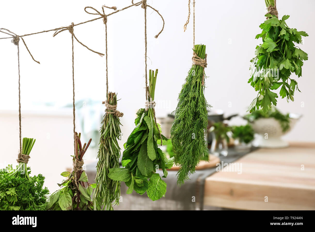 Different fresh herbs hanging on string indoors Stock Photo - Alamy