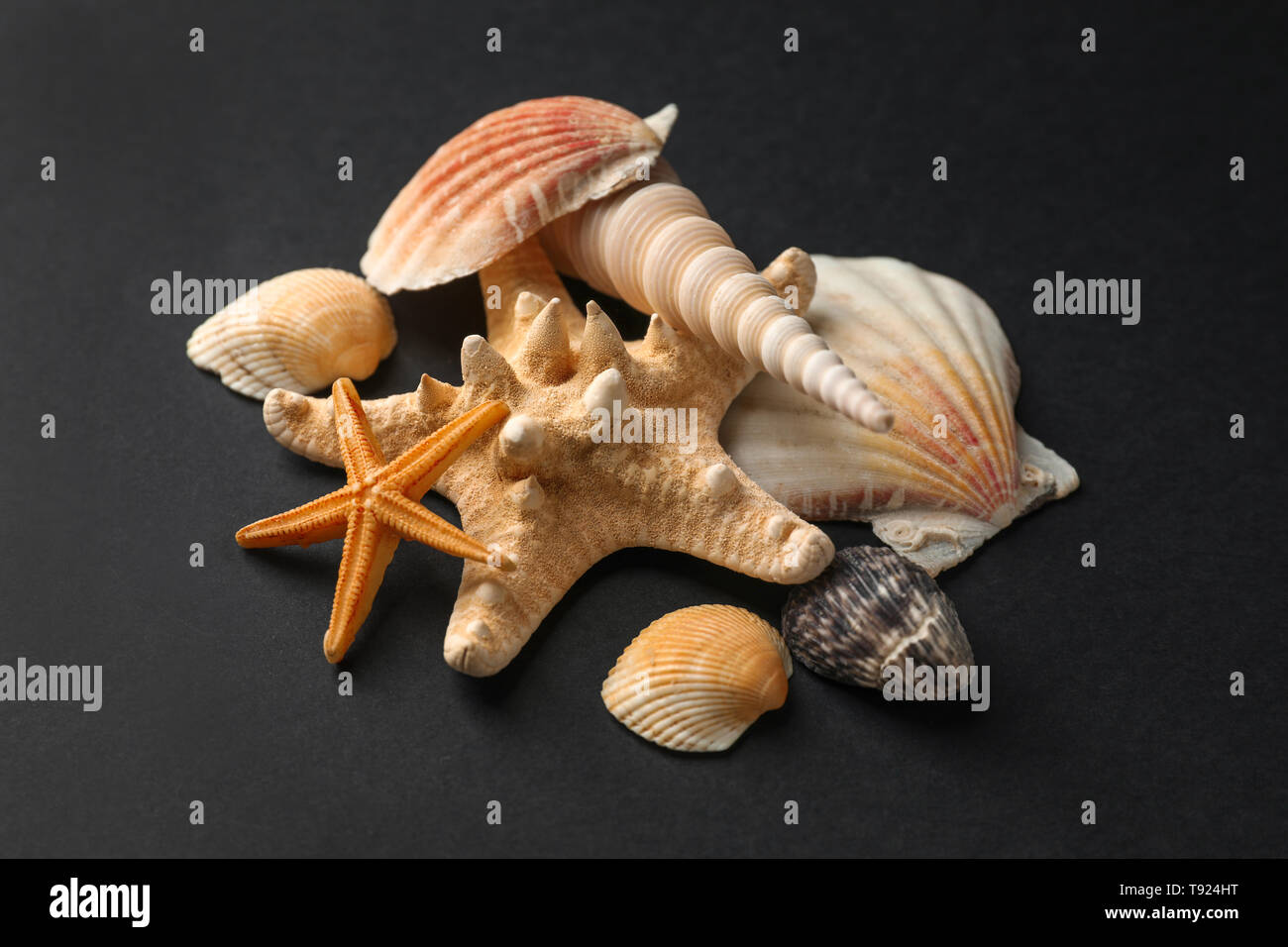 Various starfish species hi-res stock photography and images - Alamy