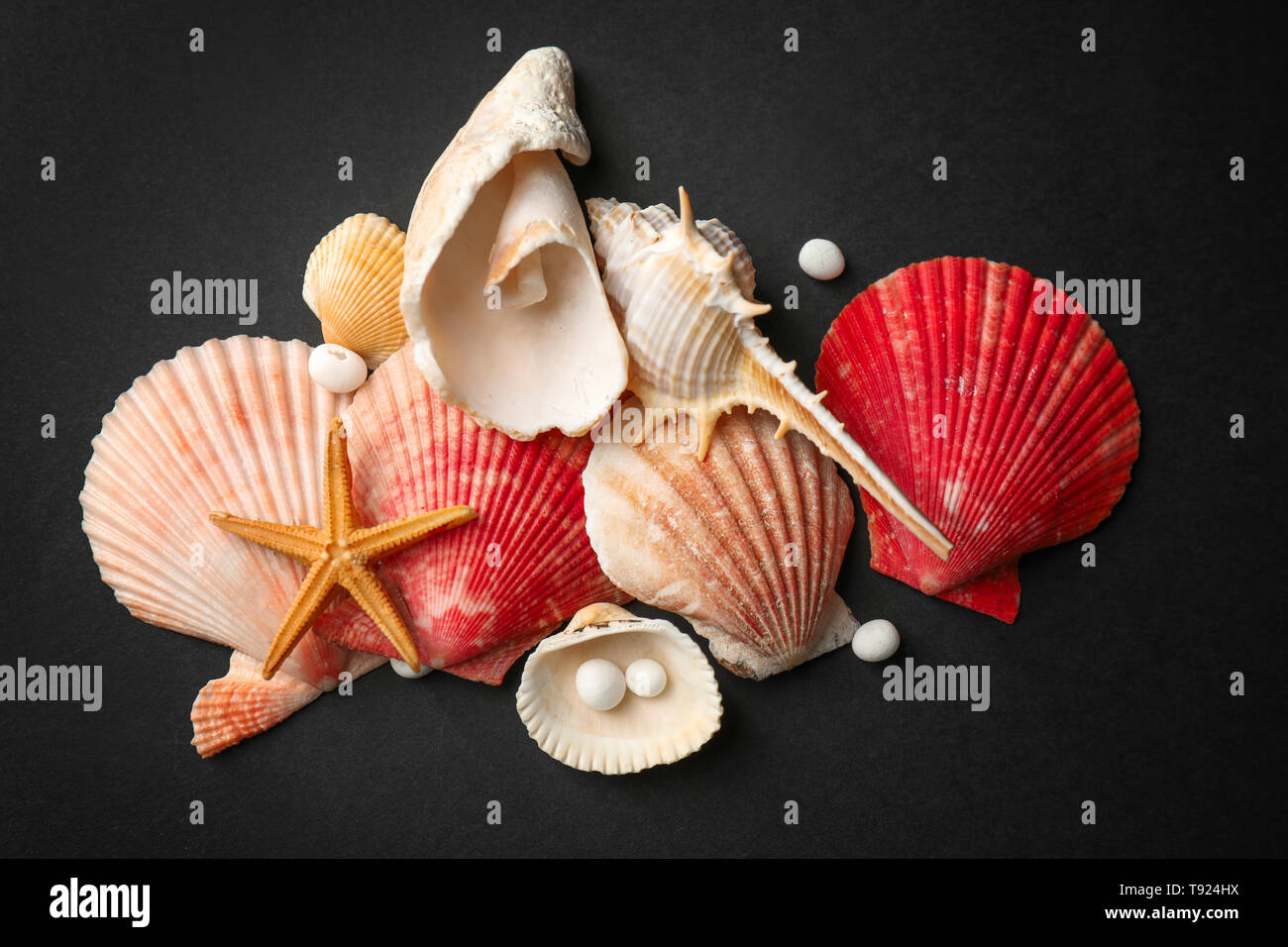 Set of different sea shells and starfish on dark background Stock Photo ...