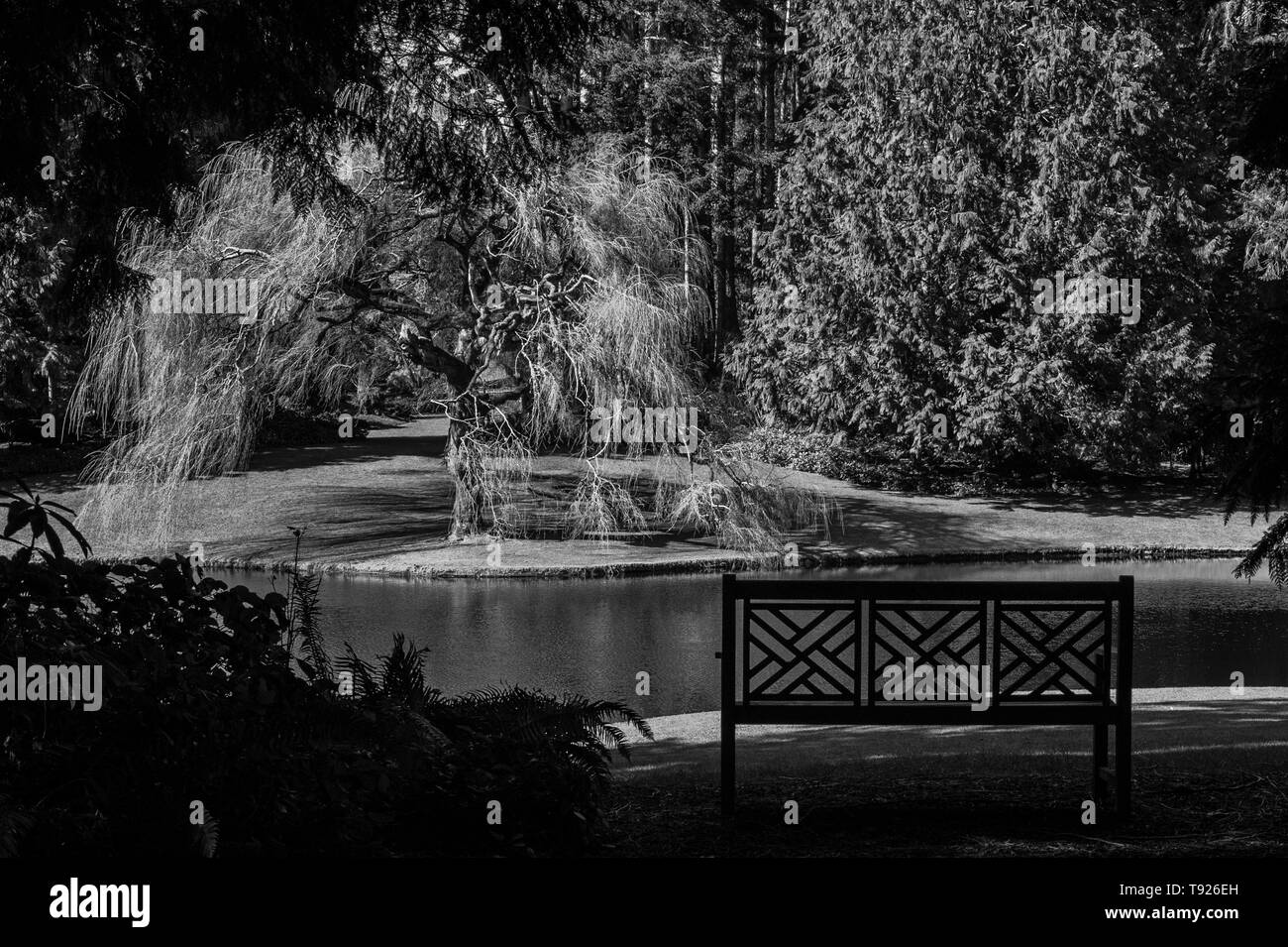 Beautiful viewpoint with bench and small lake with trees in quiet park ...