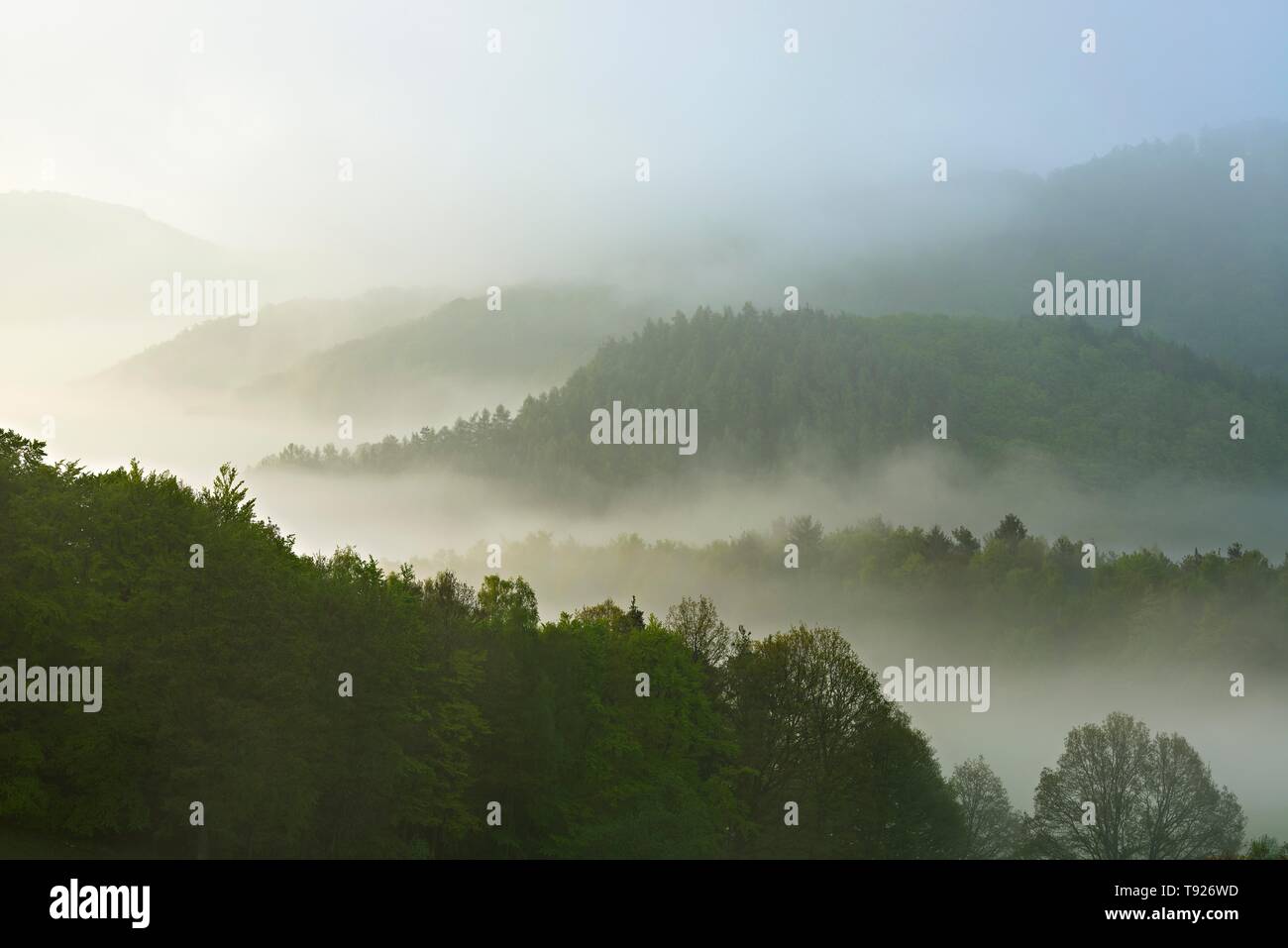 Low mountain range landscape, hilly landscape with forests in fog ...