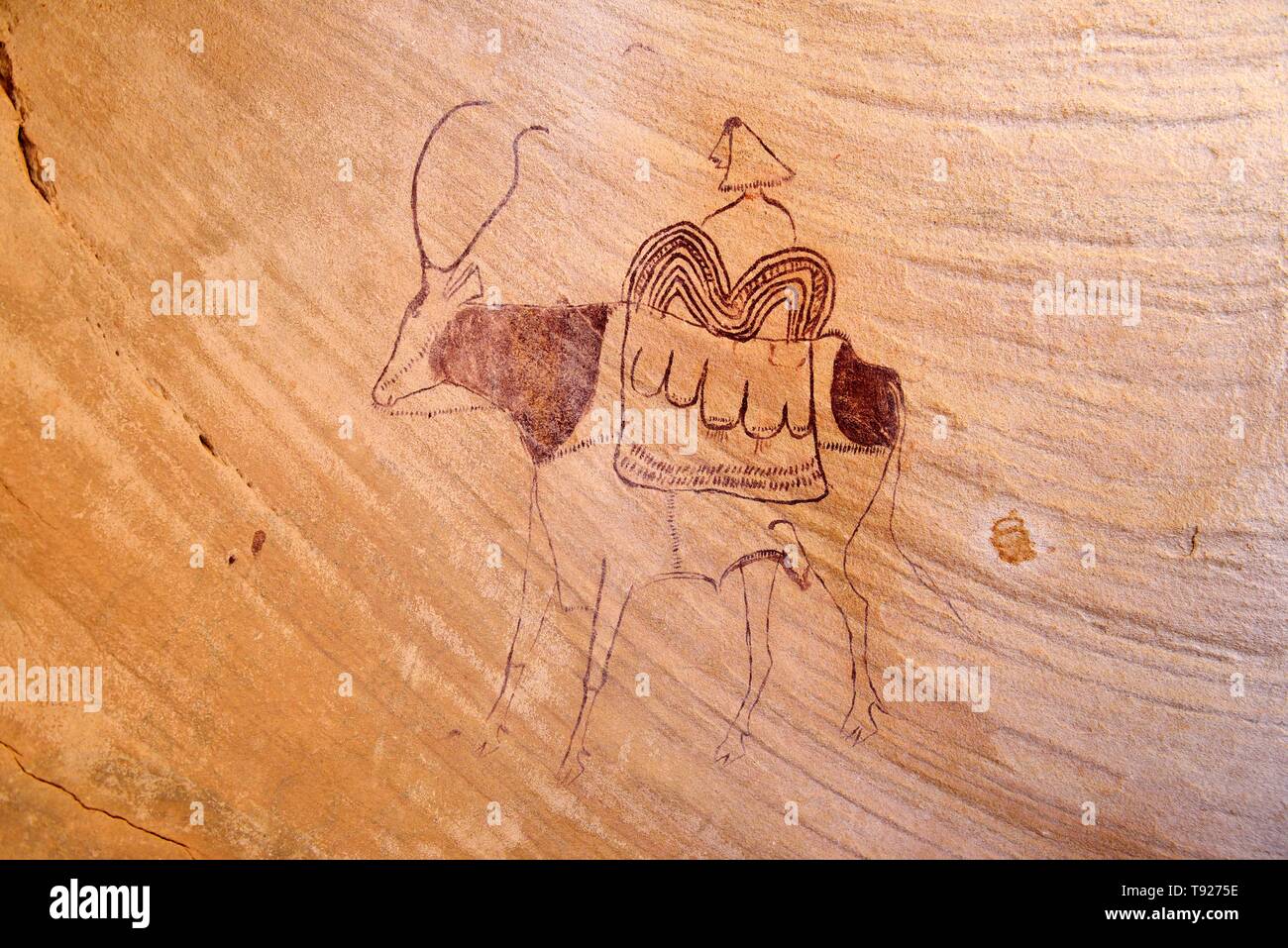 Neolithic rock art horse hi-res stock photography and images - Alamy