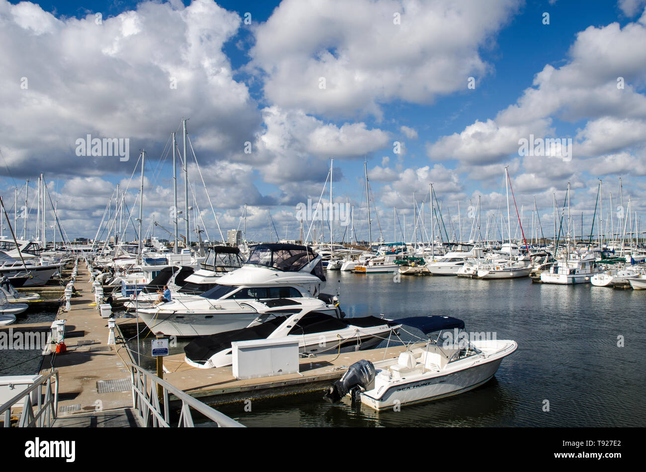 Charleston Harbor Marina, Charleston, South Carolina Stock Photo - Alamy