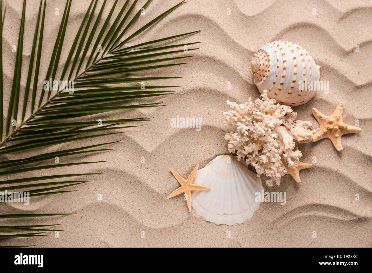 Starfishes palm leaf beach hi-res stock photography and images - Alamy