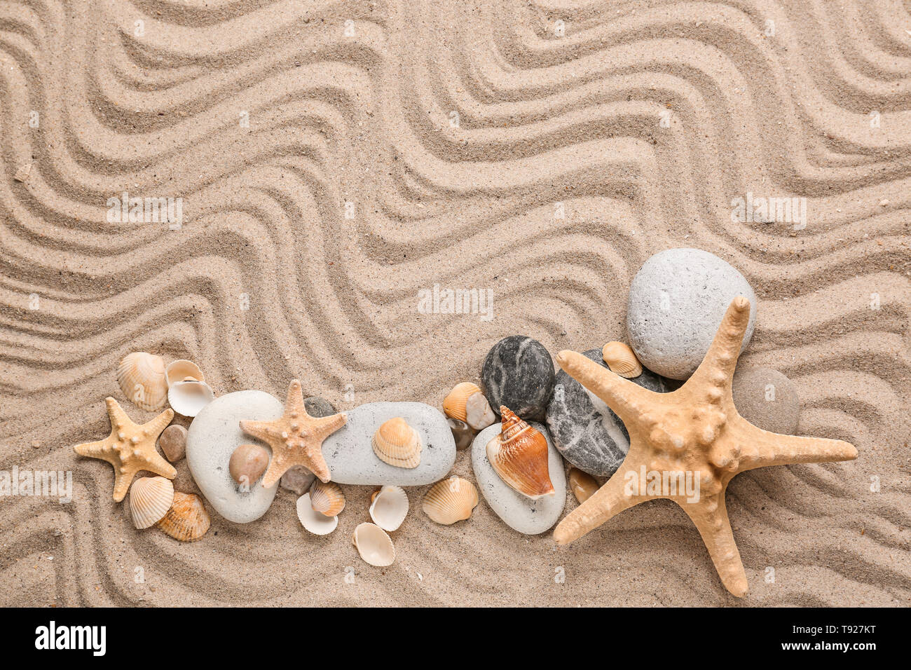 Different sea shells and starfishes on sand Stock Photo - Alamy