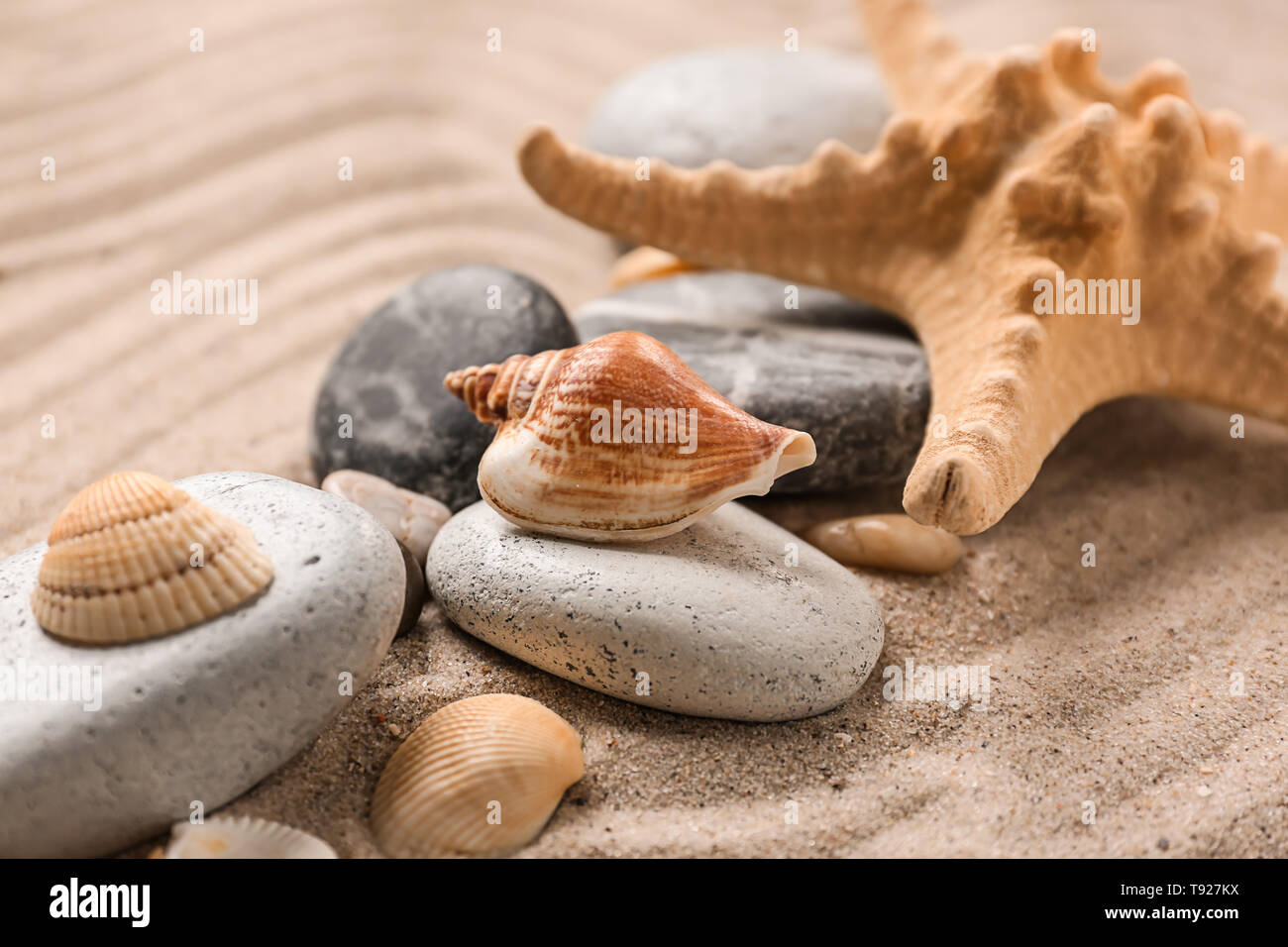 Different sea shells with stones and starfish on sand Stock Photo - Alamy