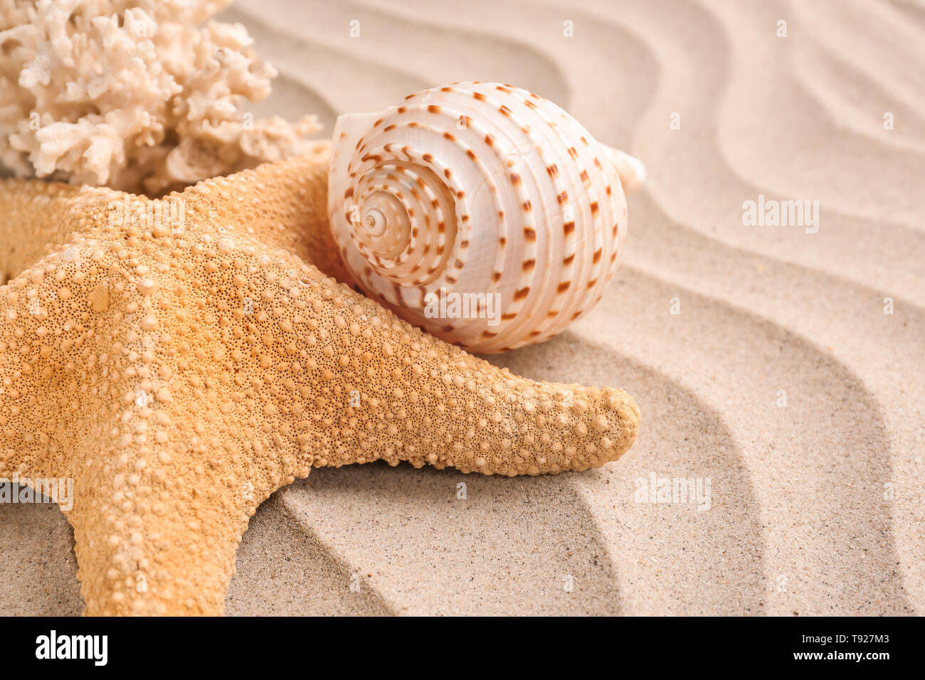 Starfish with sea shells on sand Stock Photo - Alamy