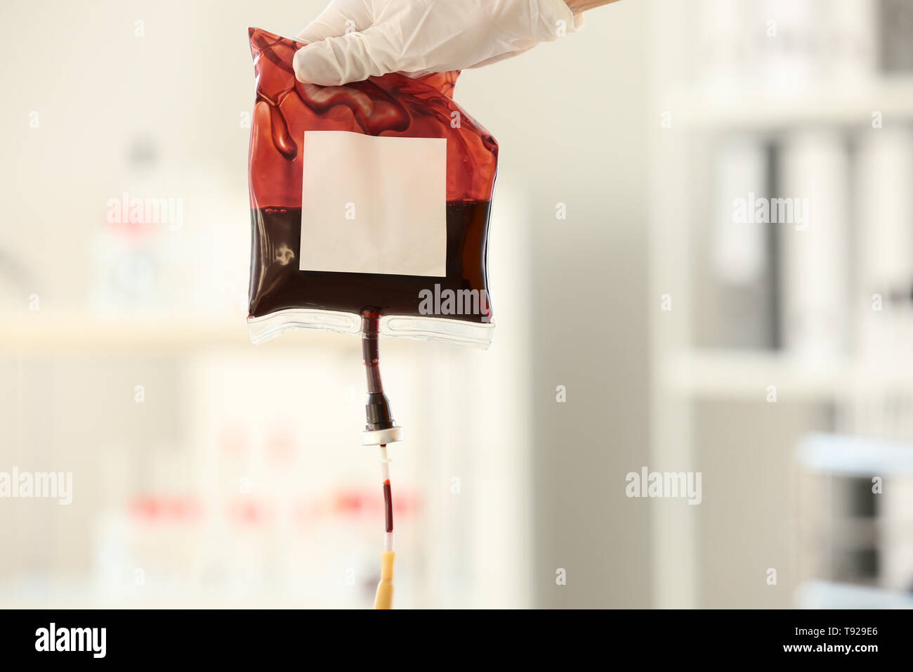 Hand in glove holding blood pack for transfusion in hospital Stock ...