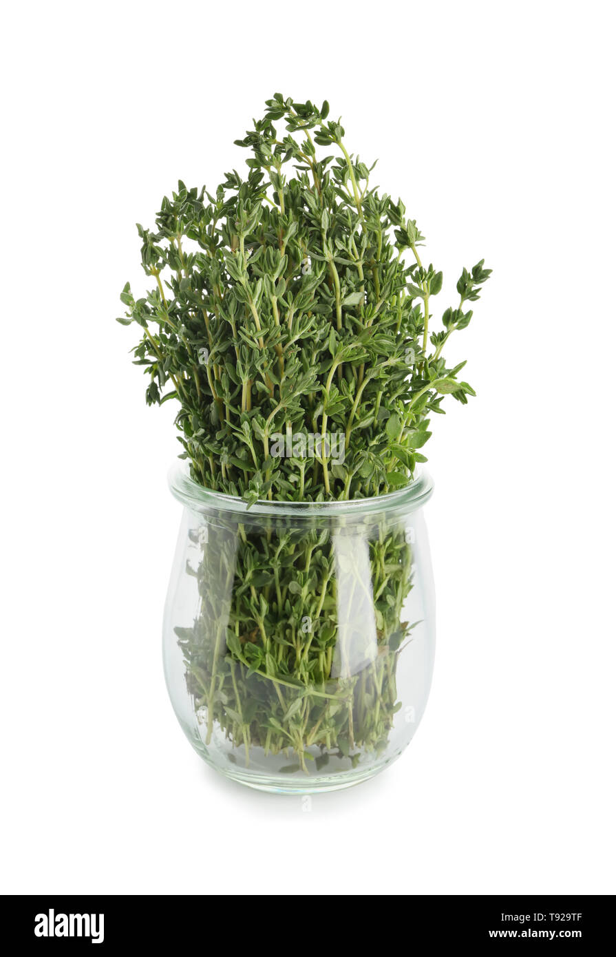 Glass jar with fresh thyme on white background Stock Photo - Alamy