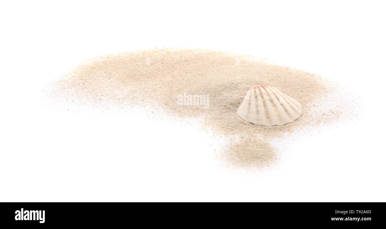 Seashell and sand on white background Stock Photo - Alamy
