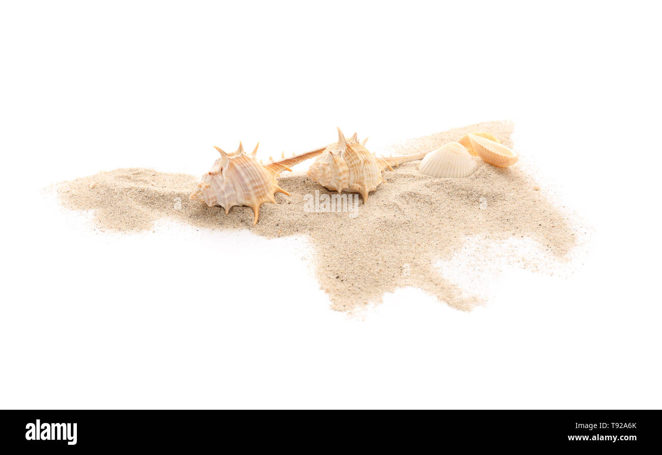 Seashells and sand on white background Stock Photo - Alamy
