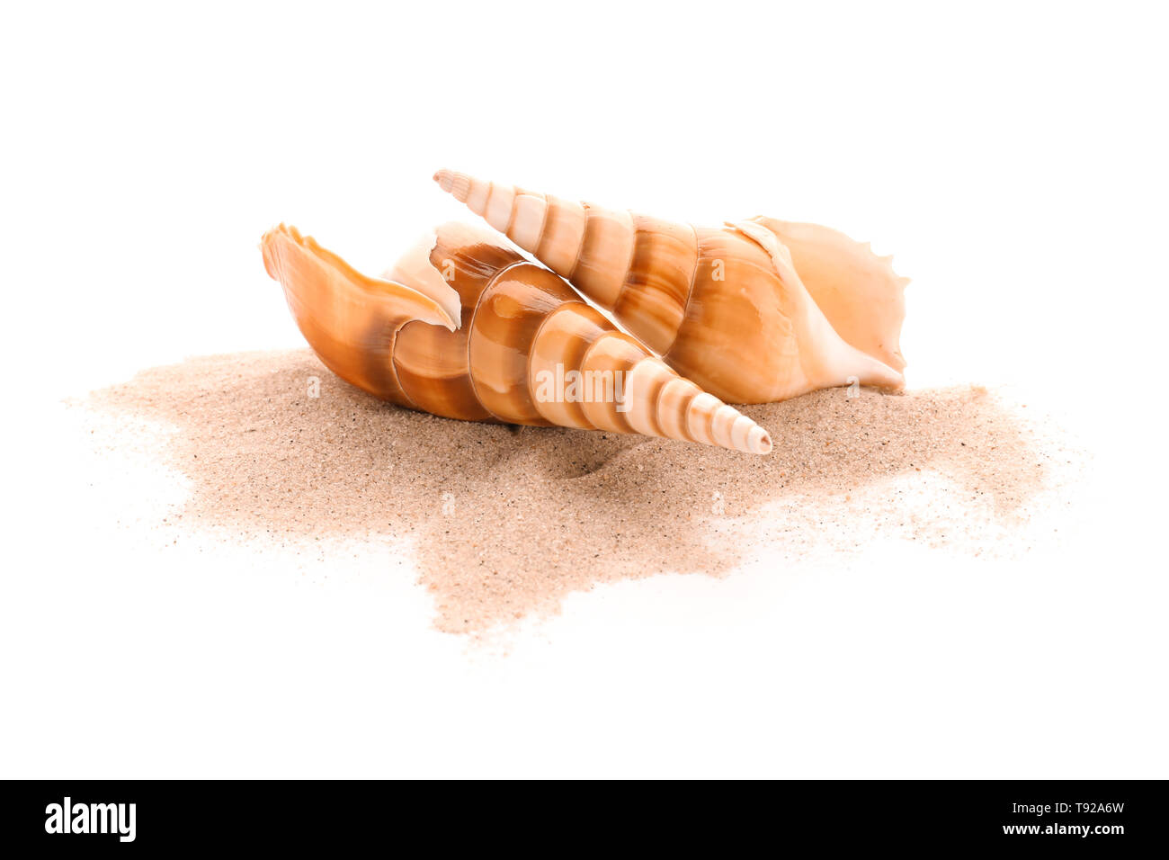 Seashells and sand on white background Stock Photo - Alamy