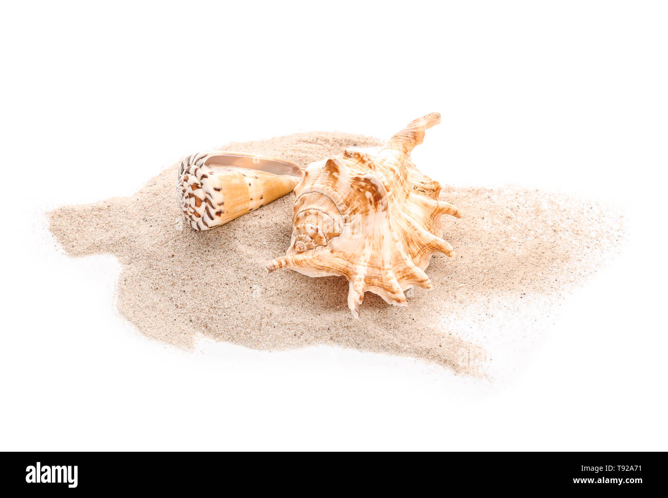 Seashells and sand on white background Stock Photo - Alamy
