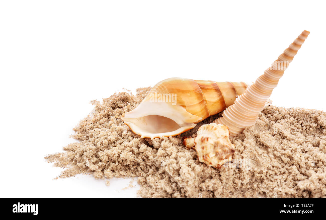 Seashells and sand on white background Stock Photo - Alamy