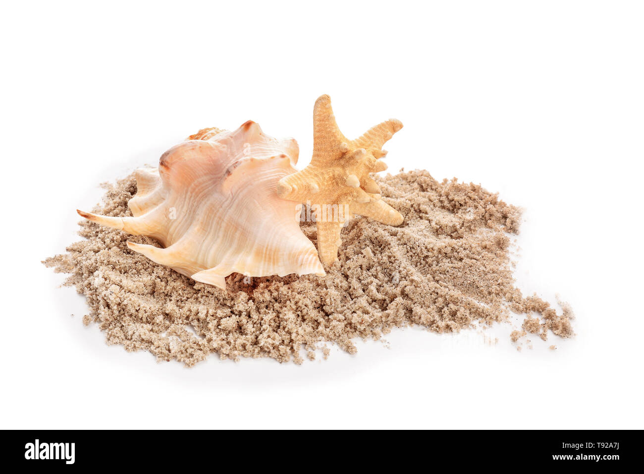 Seashells and sand on white background Stock Photo - Alamy