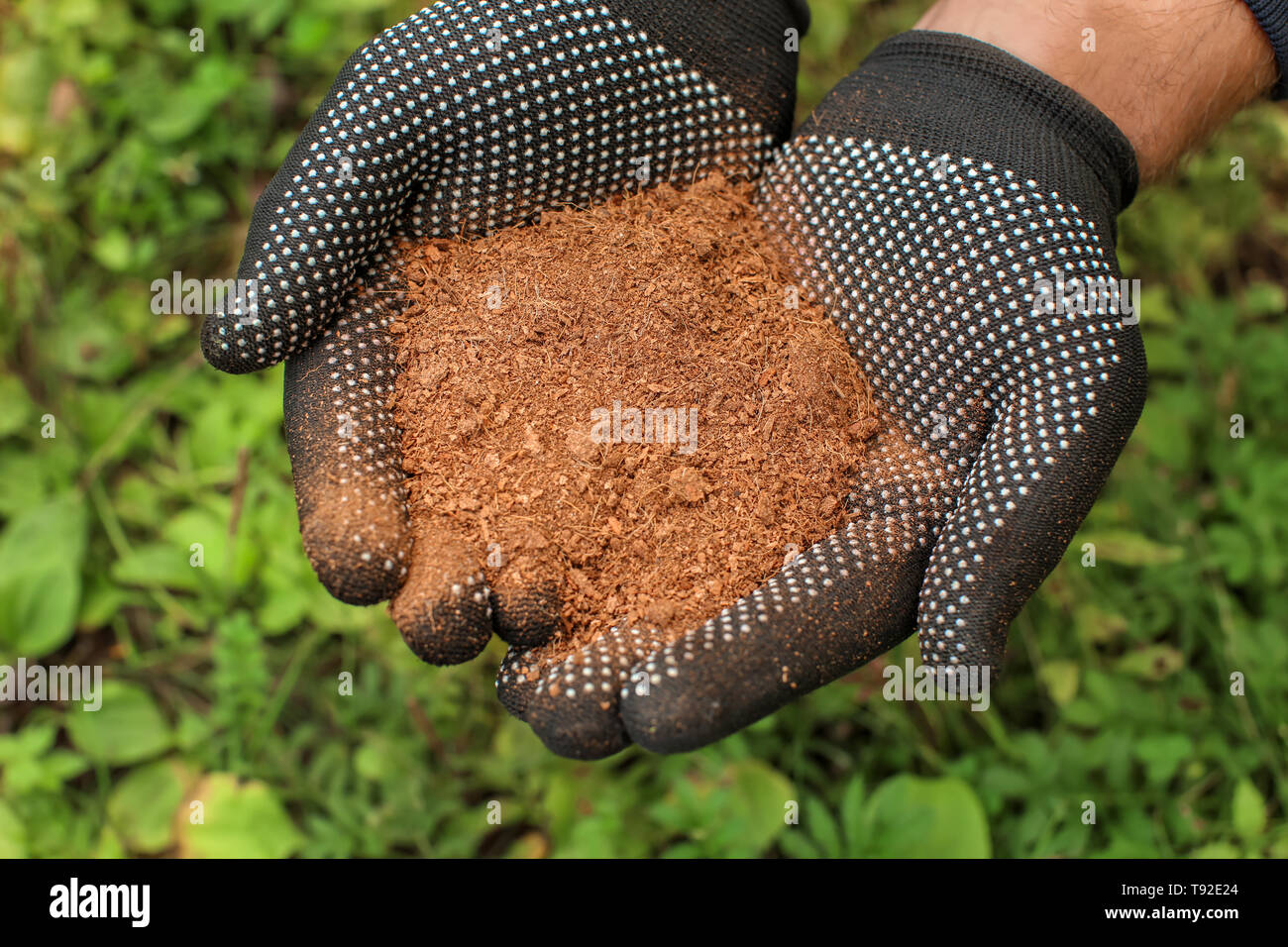 Man holding soil outdoors Stock Photo - Alamy
