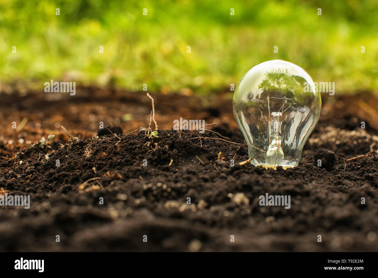 Light bulb in soil. Concept of saving energy Stock Photo - Alamy