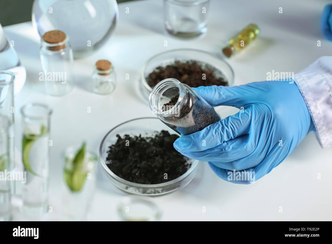 Scientist working with soil in laboratory Stock Photo - Alamy