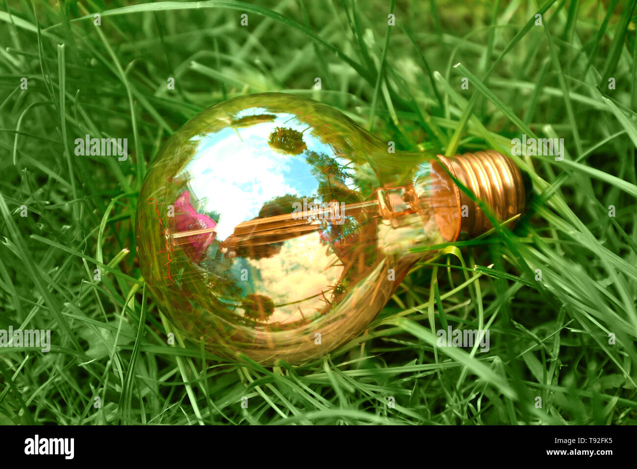 Light bulb in green grass Stock Photo - Alamy
