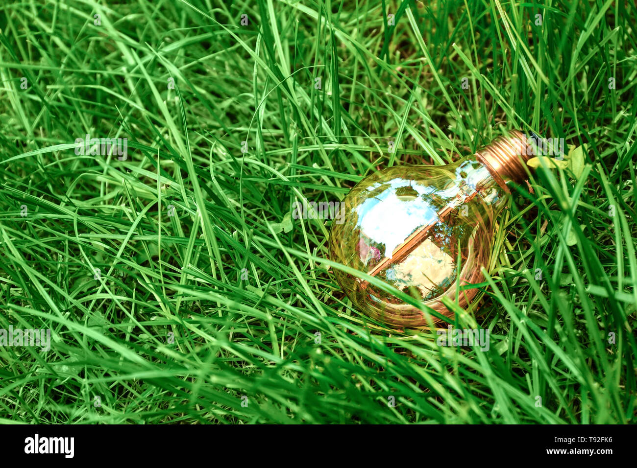 Light bulb in green grass Stock Photo - Alamy
