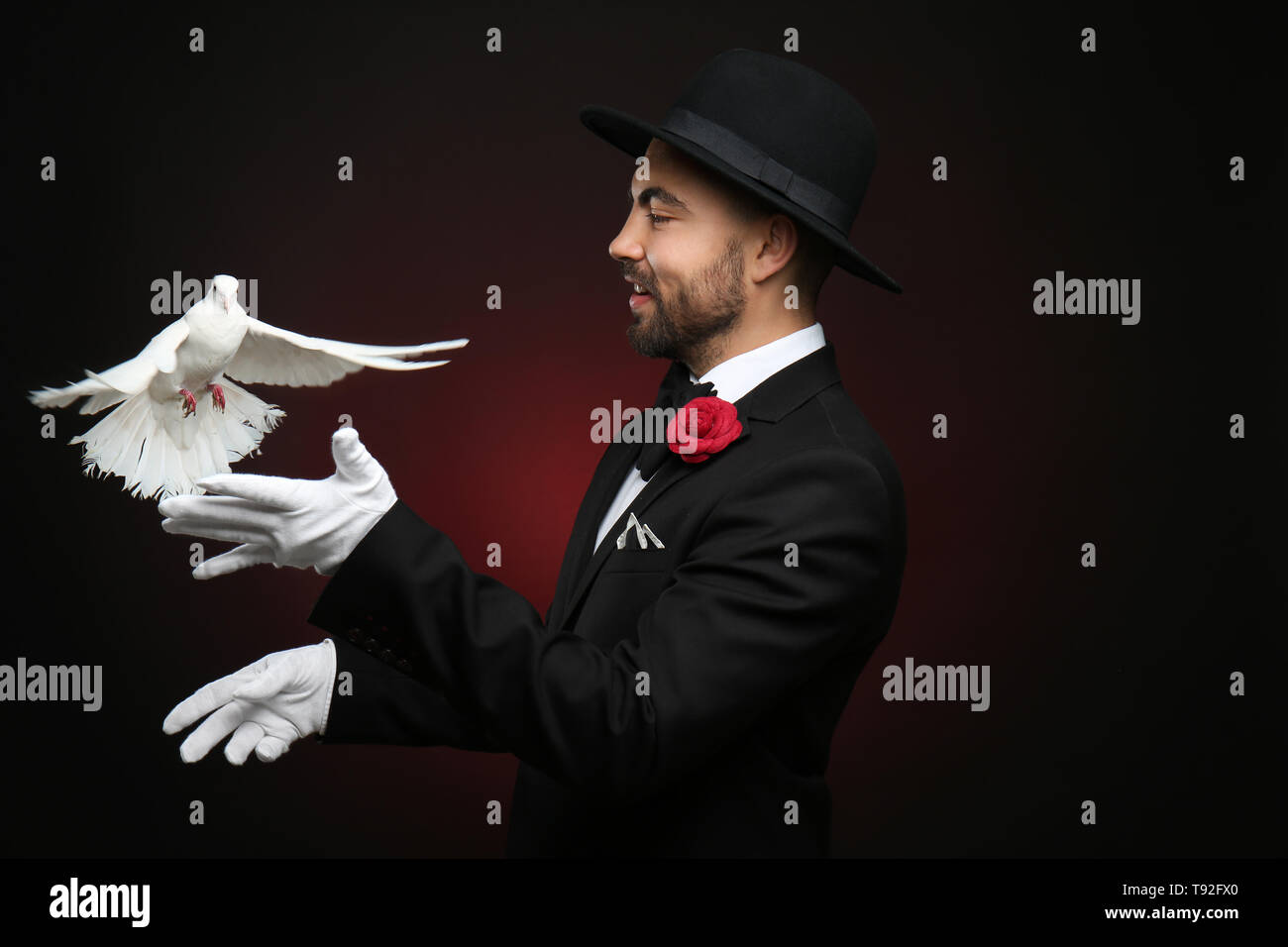 Male magician with white pigeon on dark background Stock Photo - Alamy