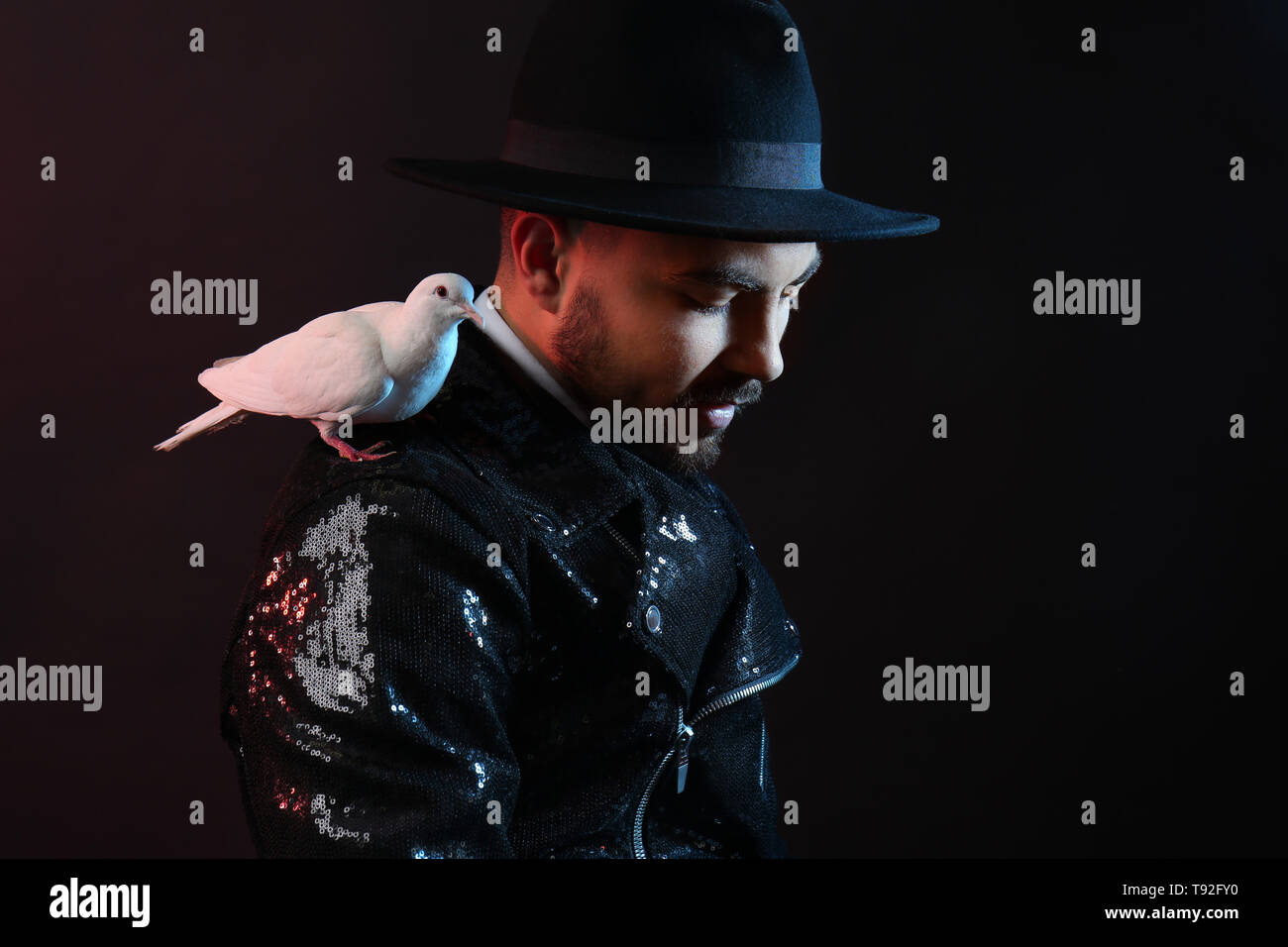 Professional pigeon hi-res stock photography and images - Alamy