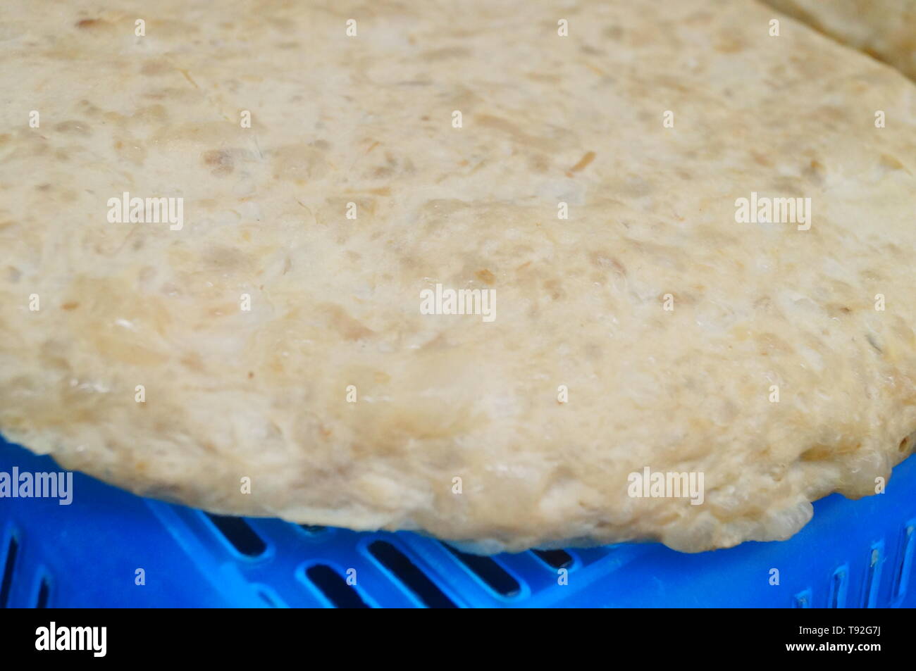 Traditional delicious food meat strips in Guangdong, China Stock Photo ...