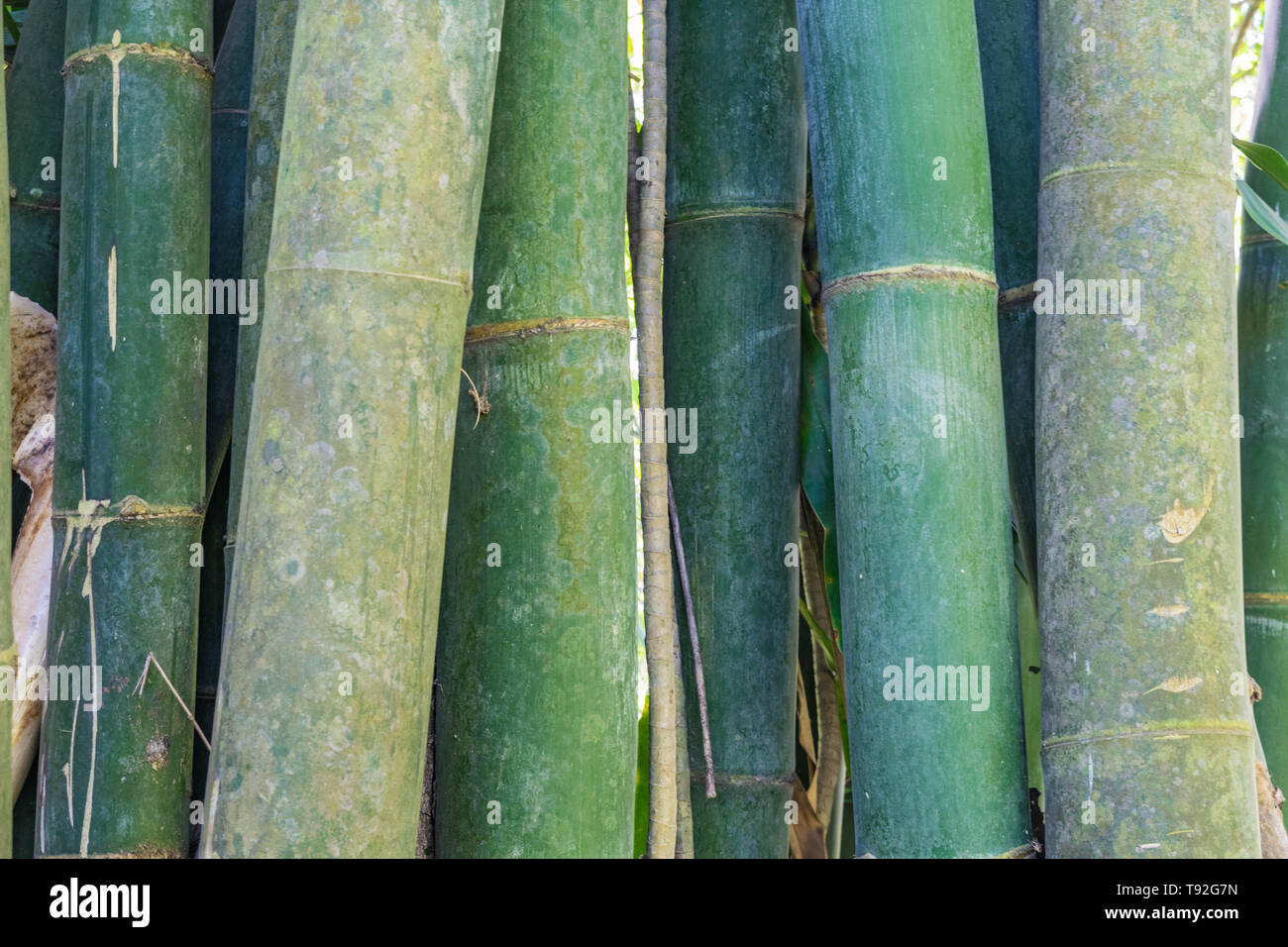 Multiple stocks hi-res stock photography and images - Alamy