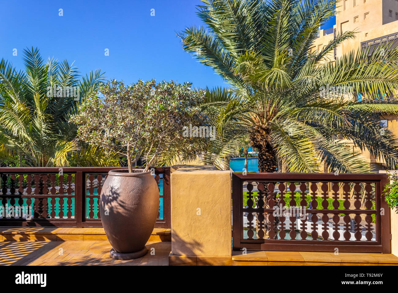 A flower in a large clay pot on the terrace Stock Photo - Alamy