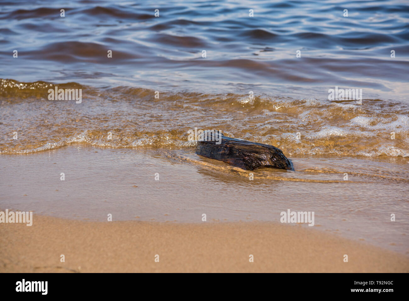 Small wood piece with hole drifting in water Stock Photo - Alamy