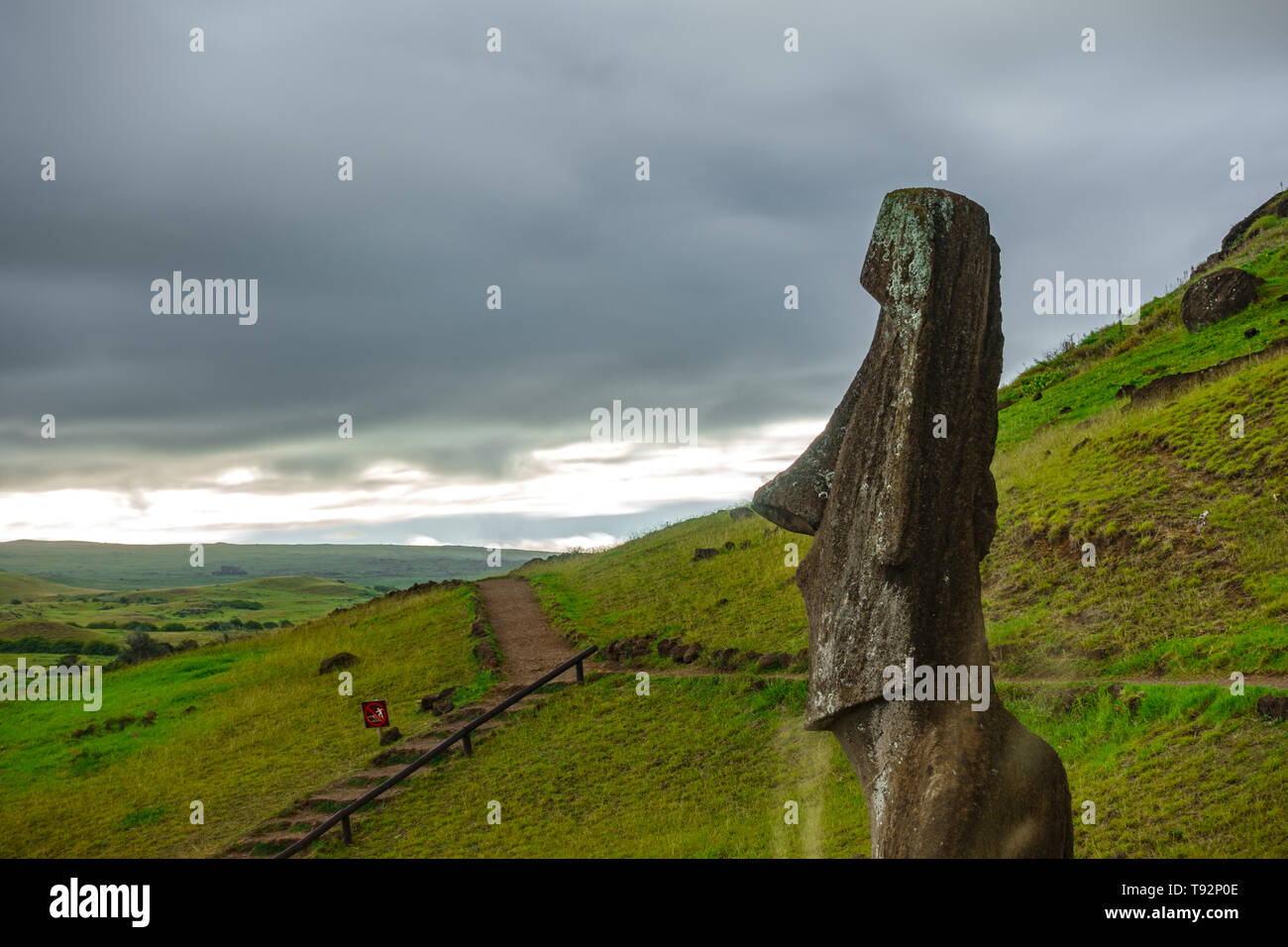 Profile of Moai in quarry, Rapa Nui Stock Photo - Alamy
