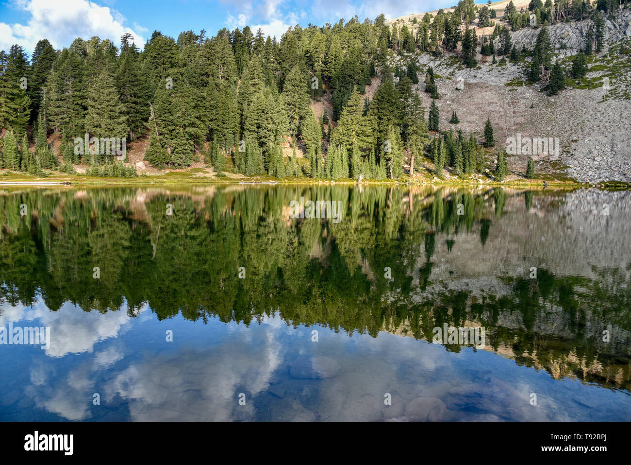 Reflection On Emerald Lake In Lassen Volcanic National Park California