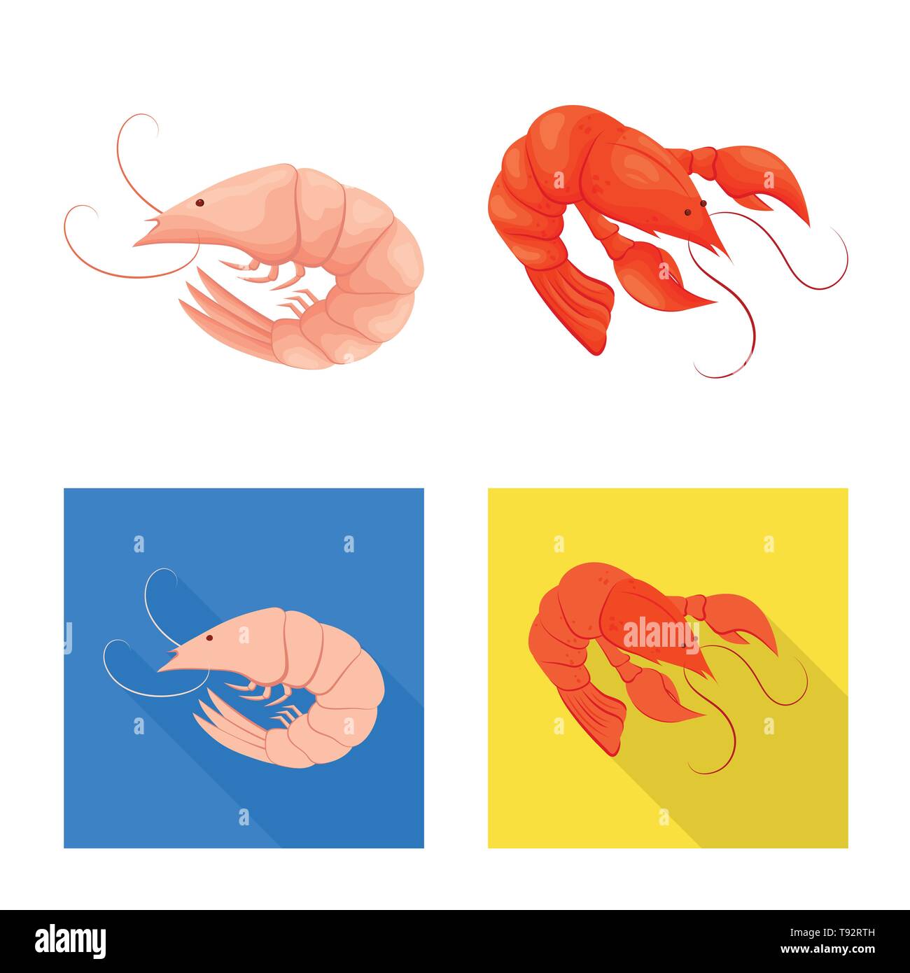 prawn,lobster,raw,red,fresh,boiled,cooked,luxury,underwater,beach ...