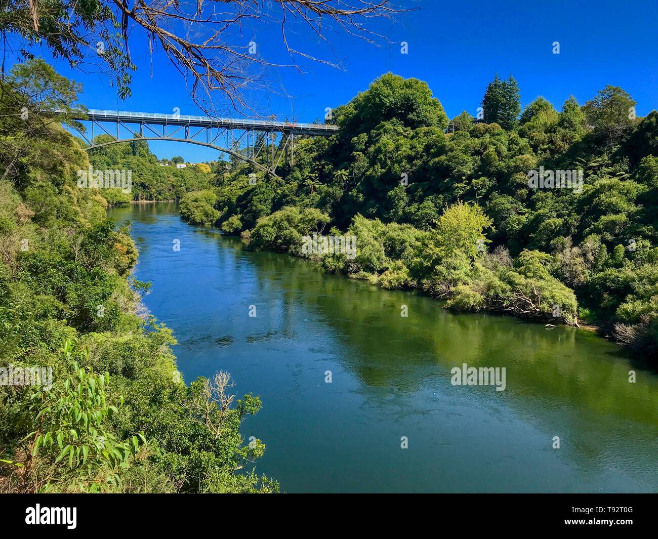 Cambridge new zealand hi-res stock photography and images - Alamy