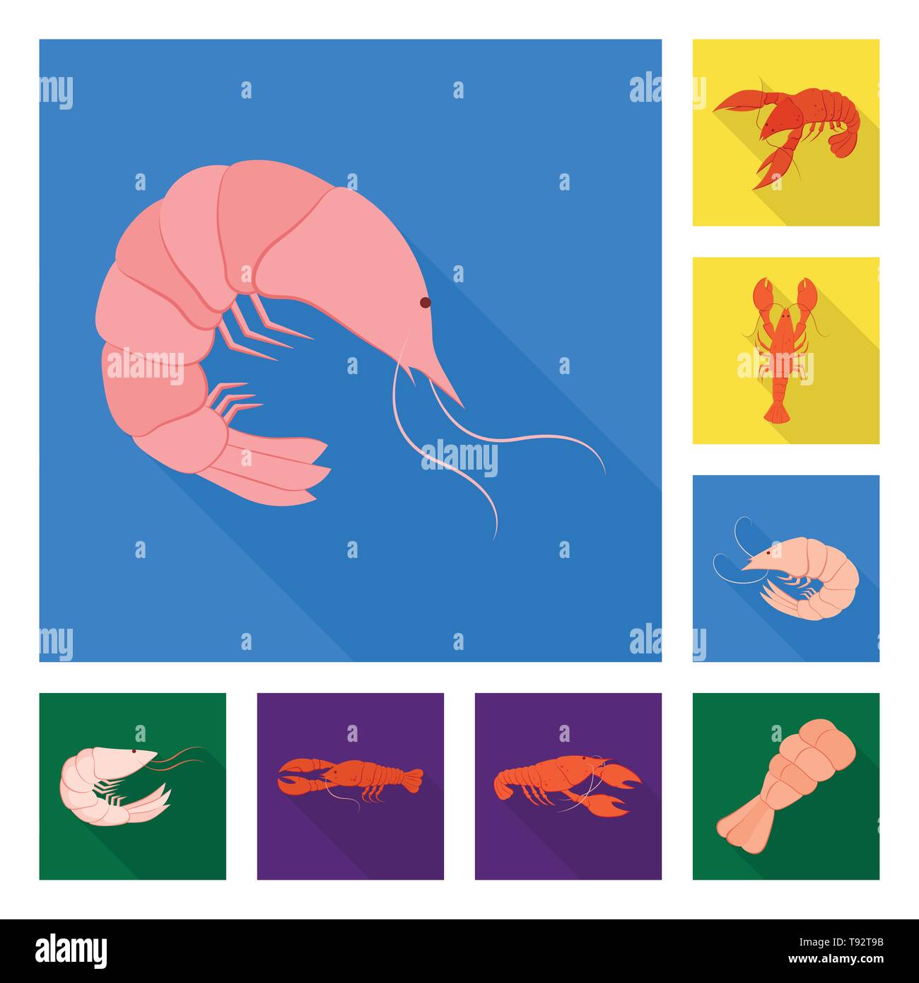 prawn,lobster,crayfish,creature,red,raw,luxury,boiled,happy,cooked ...