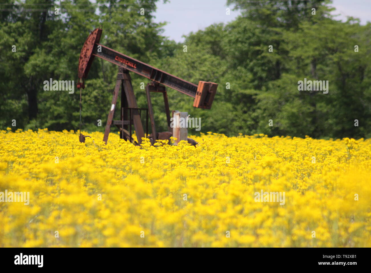 Flowers and Oil Stock Photo - Alamy